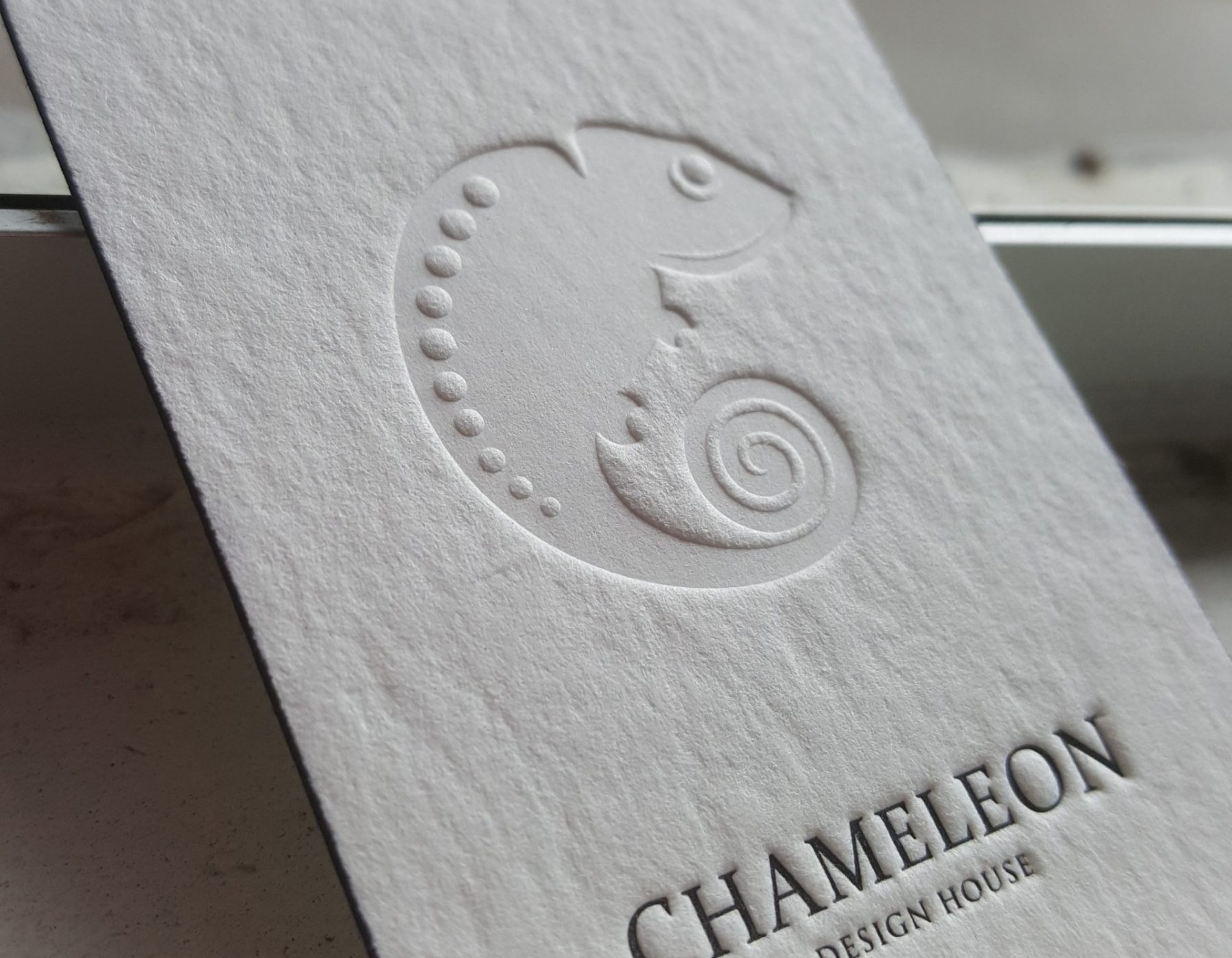 Chameleon - Premium Name Card Printing Malaysia